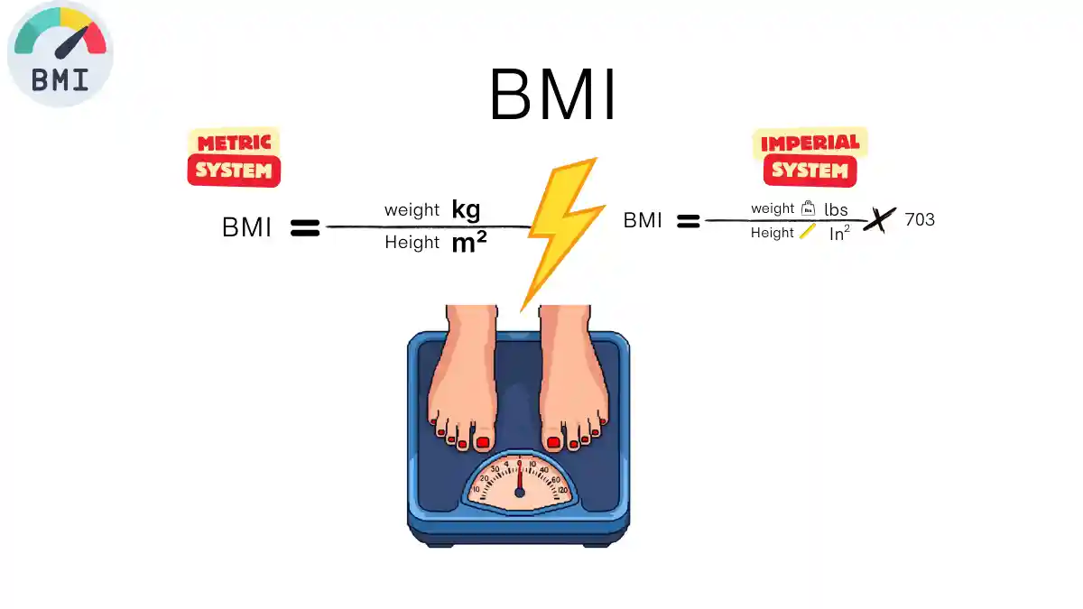 ICO BMI Calculator for Women and Men – Easy & Accurate