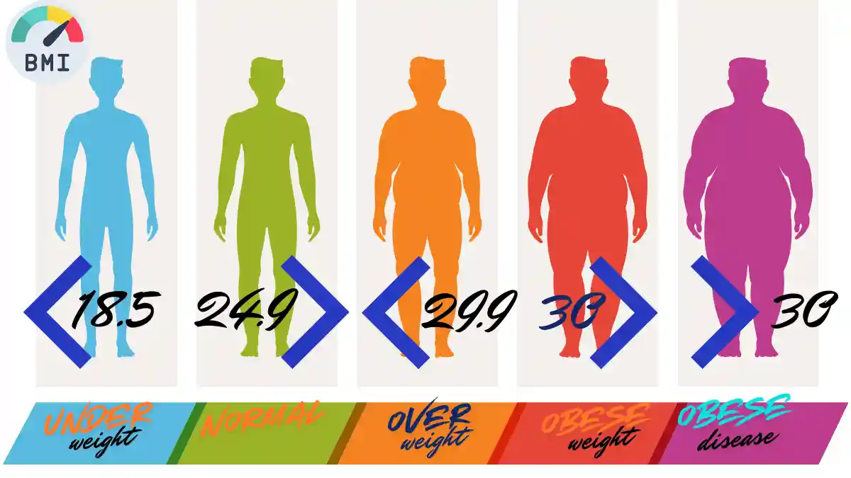 Calculation of BMI | BMI in Kg and Feet